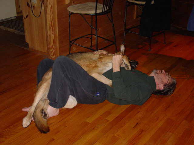 beastility – Barking Beast